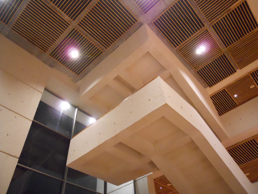 Teatro y biblioteca Mayor Julio Mario Santo Domingo – Ferroiluminaciones