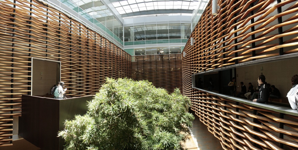 Universidad de los Andes – Ferroiluminaciones